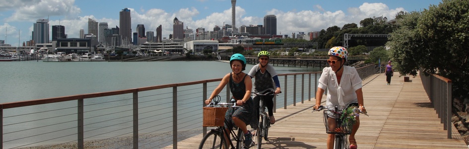 Auckland - på cykel i storbyen | FDM Travel