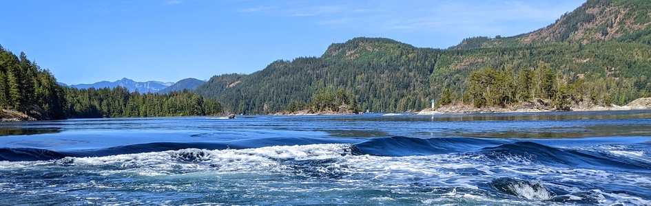 Skookumchuck Narrows Provincial Park | FDM Travel