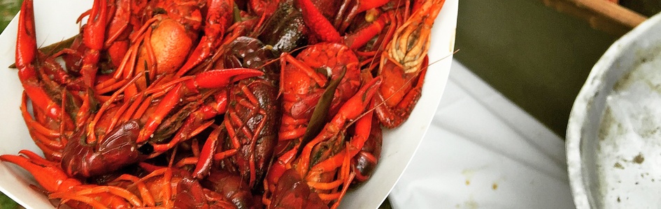 Flodkrebs i Lafayette | FDM Travel