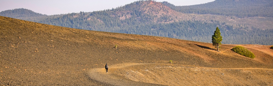 5 mindre kendte naturoplevelser i Californien og det vestlige USA | FDM ...