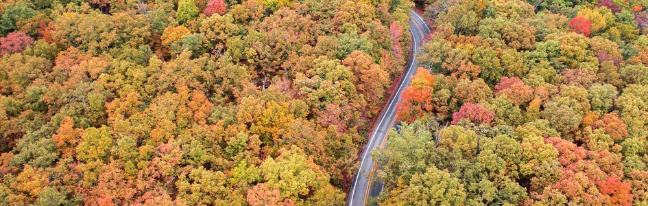 Pig Trail Scenic Byway i Arkansas | FDM Travel