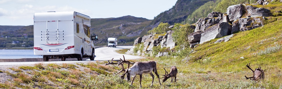 Autocamper i Sverige | FDM Travel