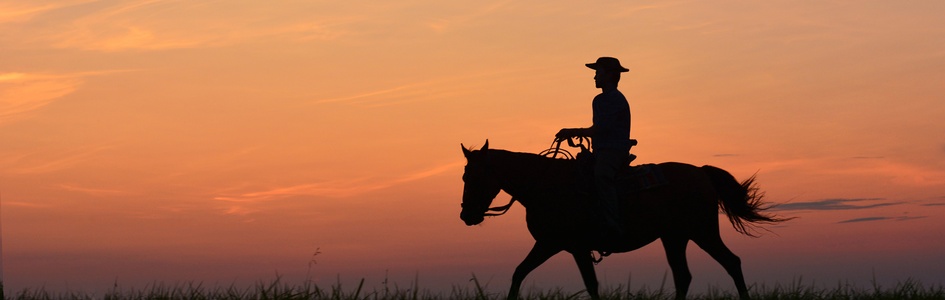 Historien om Florida Cracker Cowboys | FDM Travel