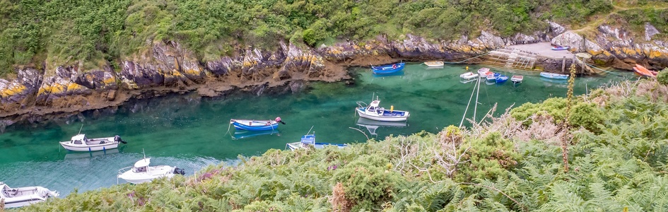 Porthclais Harbour - en travl havn fra det 12. århundrede | FDM Travel