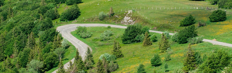 Grand Ballon og Le Markstein i Alsace | FDM Travel
